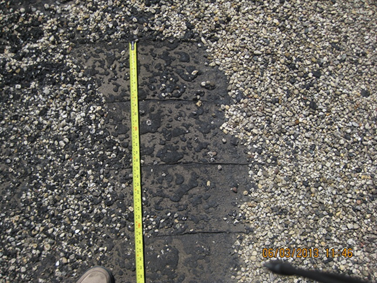 Building Envelope Surveys | Curtainwall Design Consulting